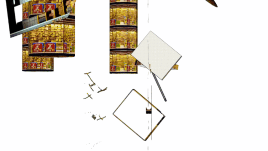 Sarah Aziz and Lindsey Krug: Doll(ar)house Dreams - The Architectural ...